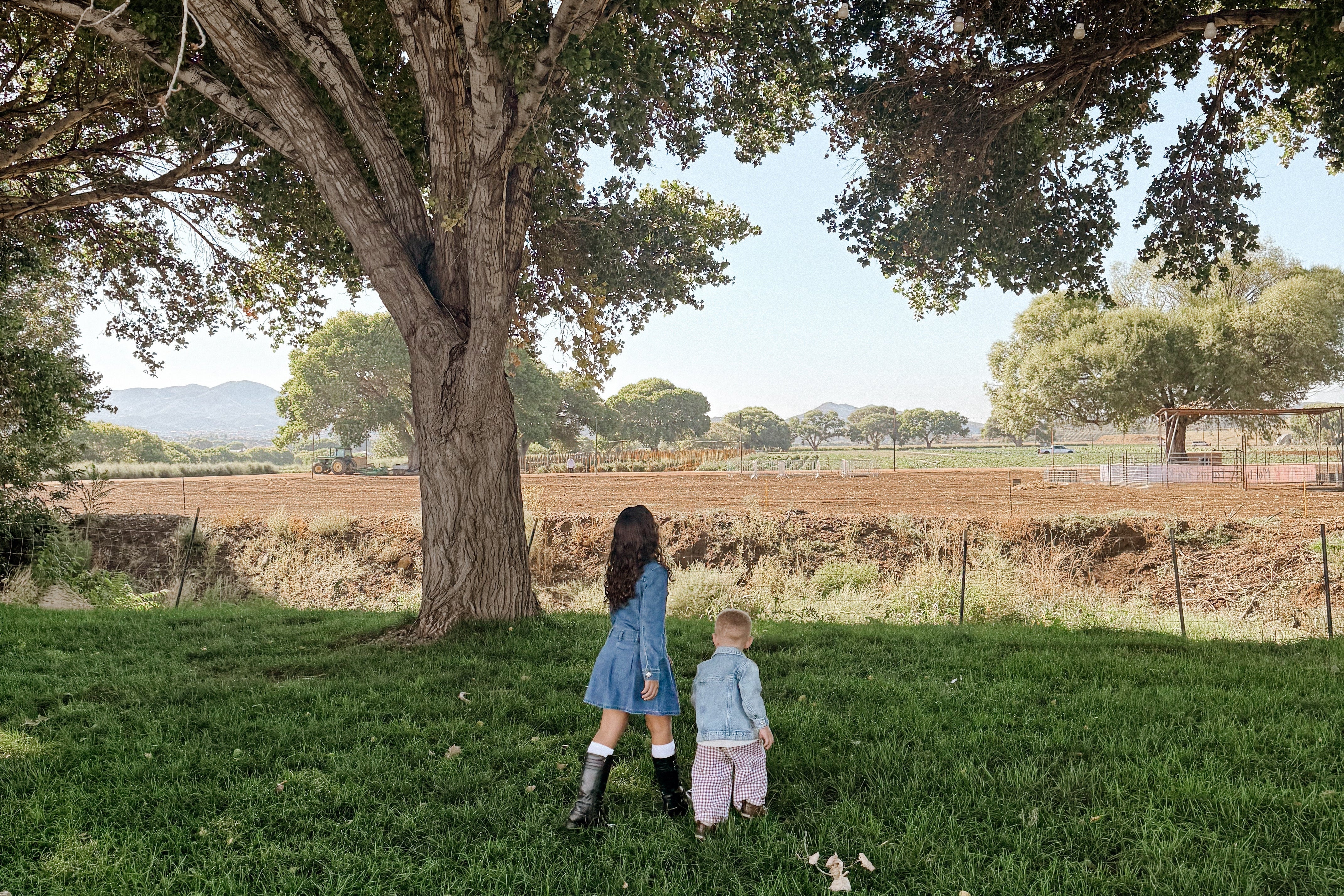 The 2026 Rebrand | A Return to What Was Always Ours – Corduroy Farm